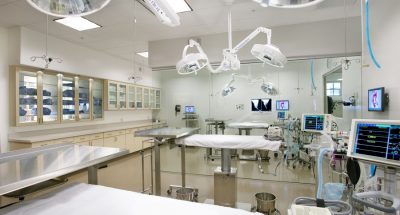 Veterinary Equipment: Complete List of Vet Equipment & Tools | Dekomed